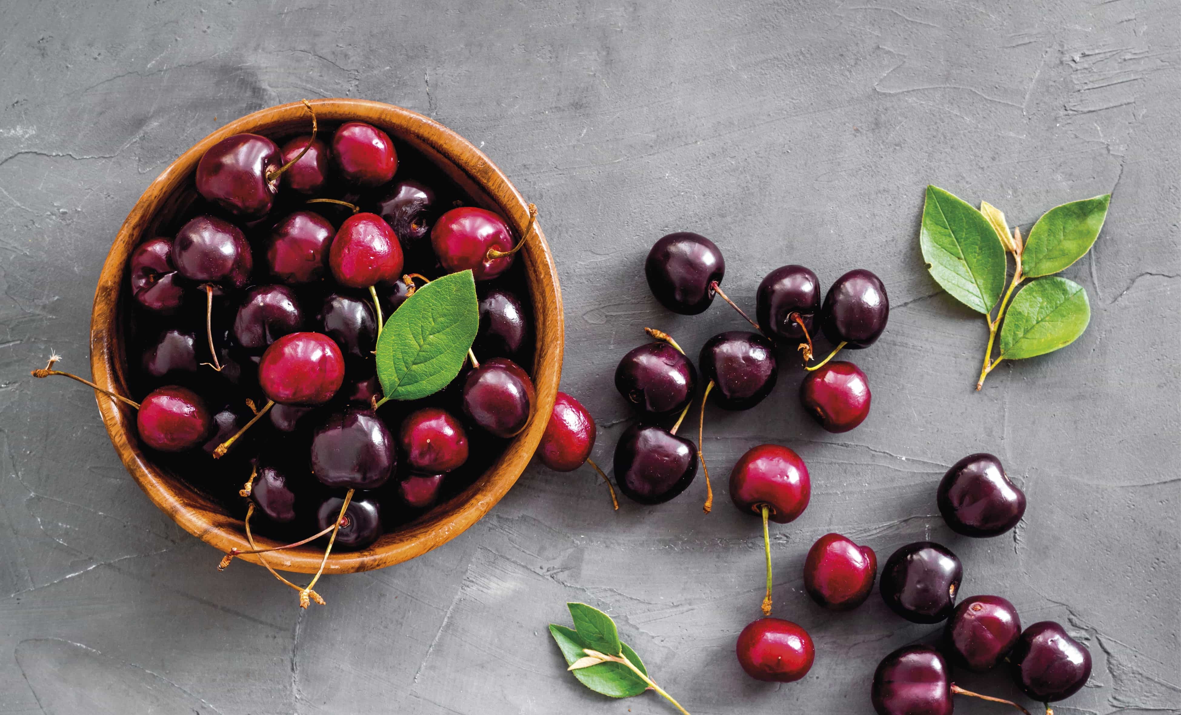 Il frutto del mese: l’amarena | Giuso